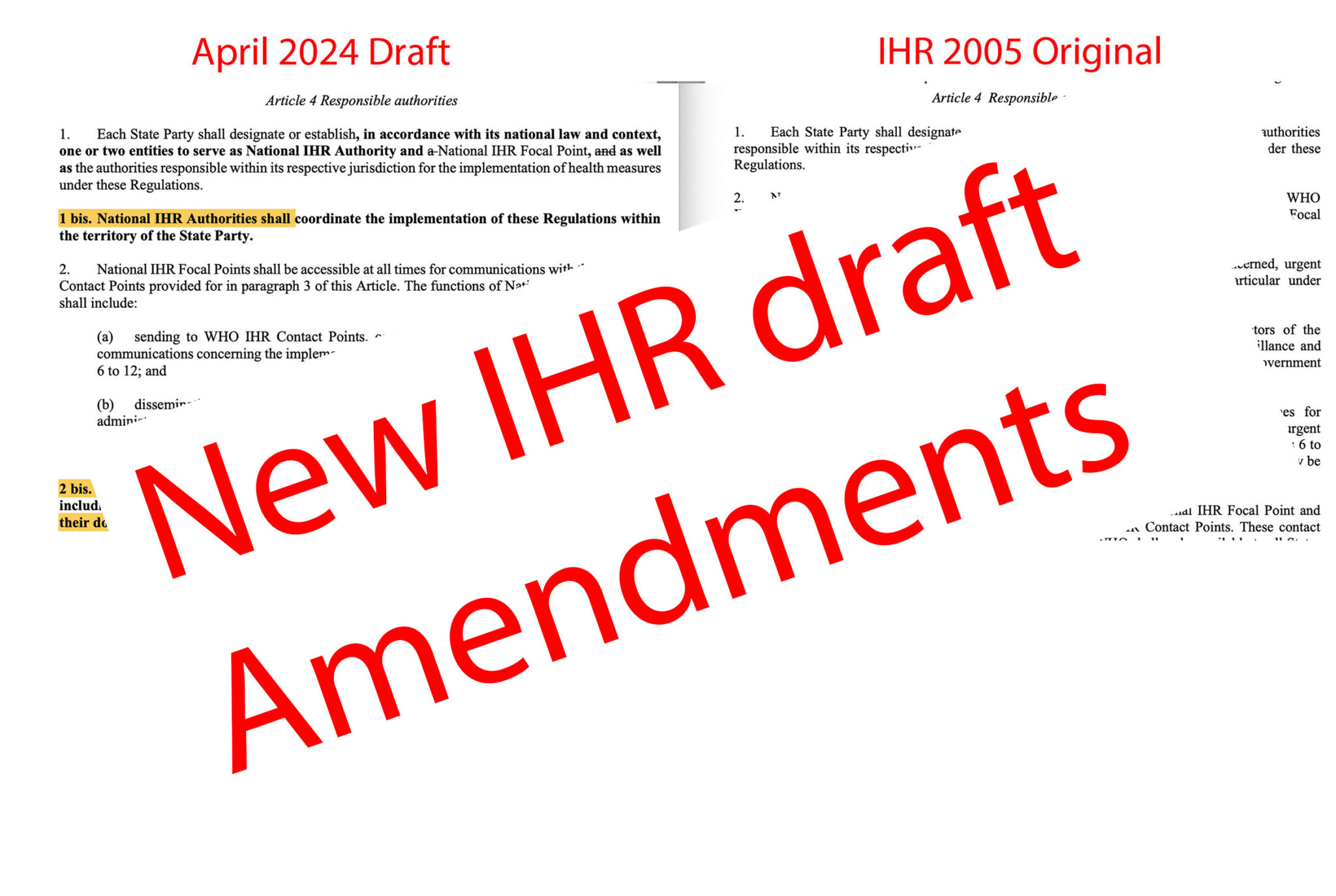 Recently circulated: new draft of amendments to the IHR | DOOR TO FREEDOM